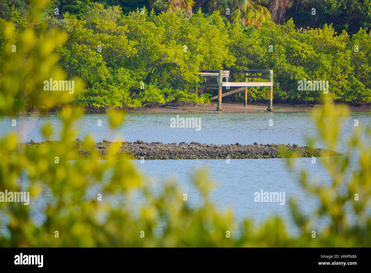 Inland water habitats hi-res stock photography and images - Alamy