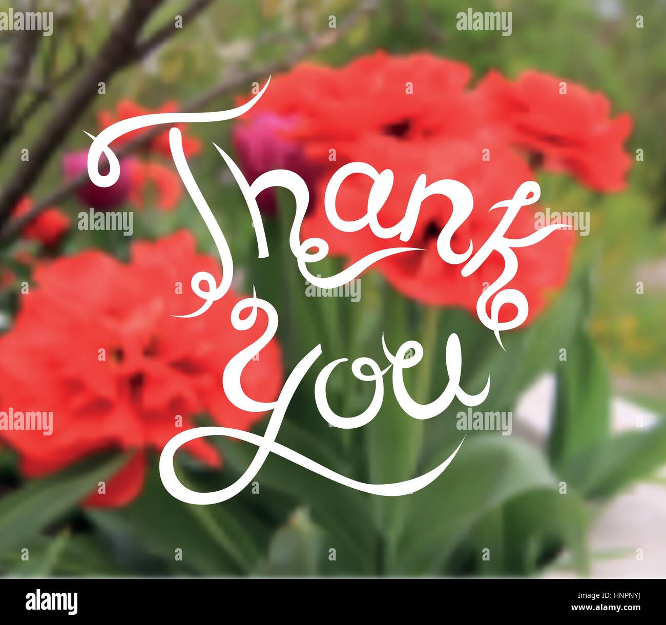 Hand drawn vector calligraphic sign Thank you on blurred floral ...