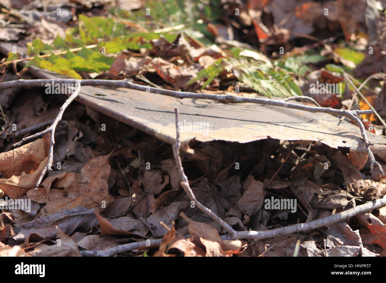 A piece of metal scrap stuck in the ground Stock Photo - Alamy