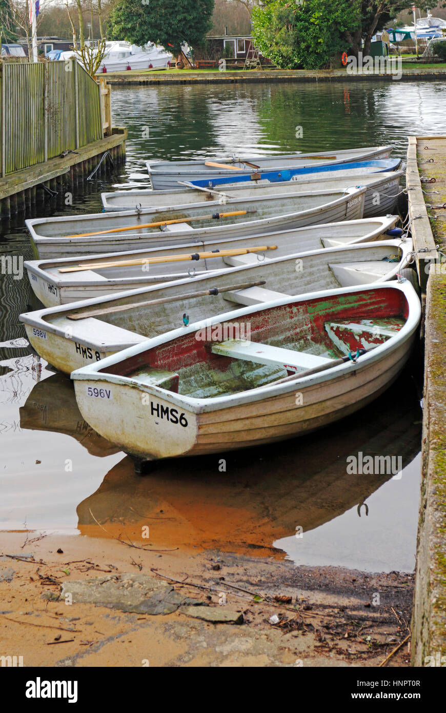 A group of small rowing boats moored in a dyke on the Norfolk Broads at ...