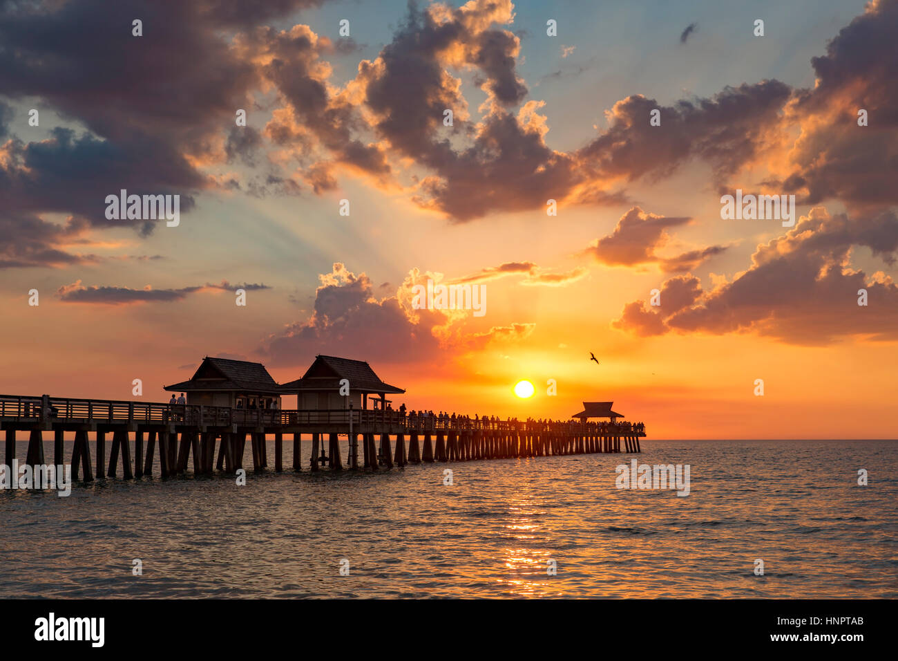 Setting sun naples pier hi-res stock photography and images - Alamy