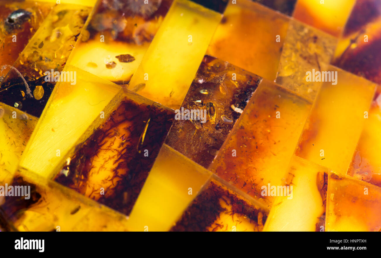 Amber from thre Baltic Sea Stock Photo - Alamy