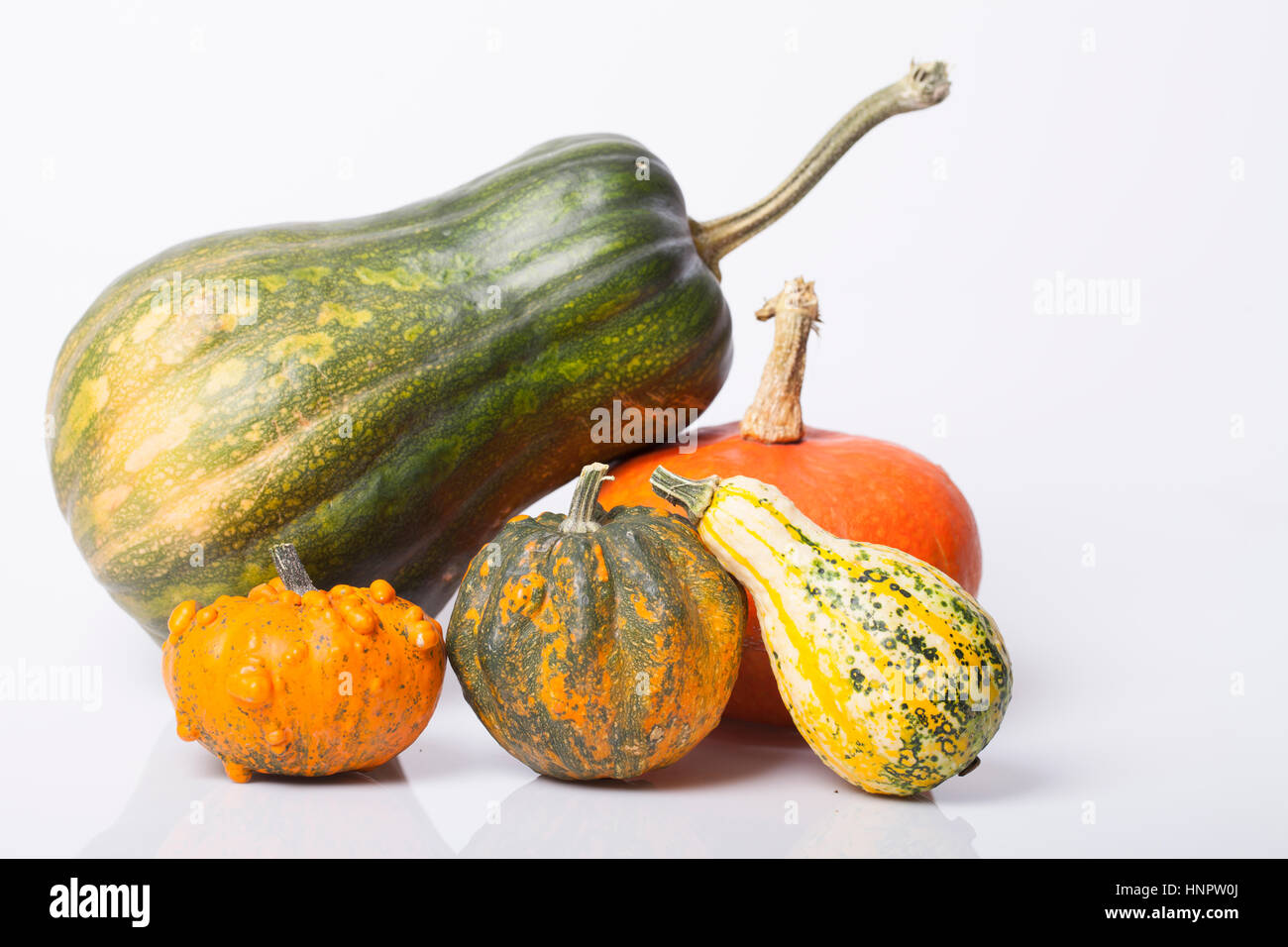 Pumpkin and squash autumn backgrounds on the table Stock Photo - Alamy