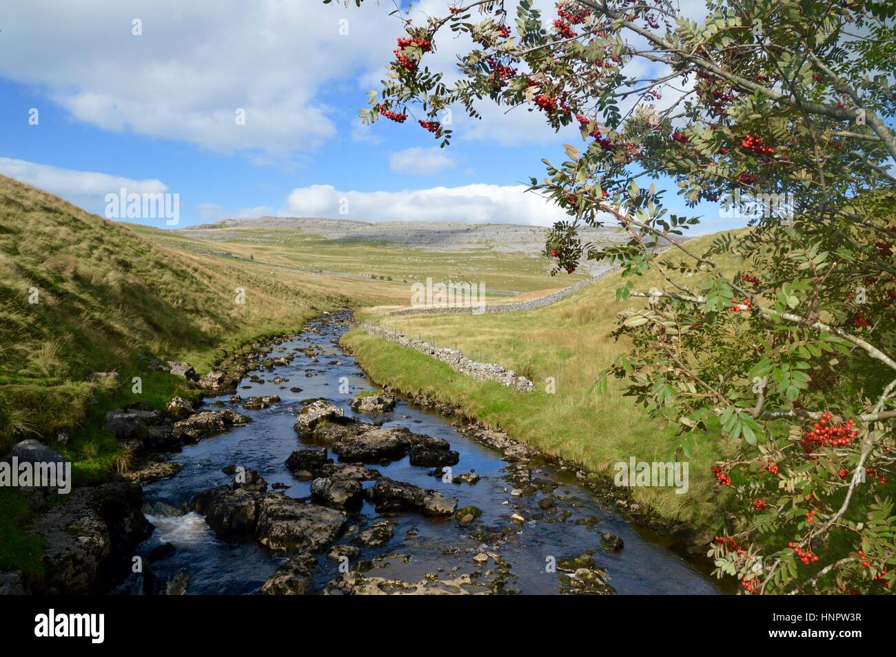 Where to walk in the yorkshire dales hi-res stock photography and ...
