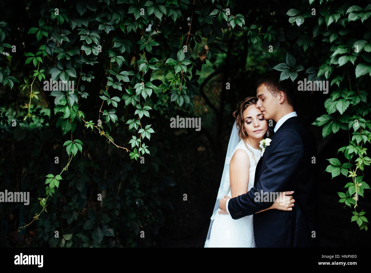 Young bride hugging her groom in beautiful park Stock Photo - Alamy