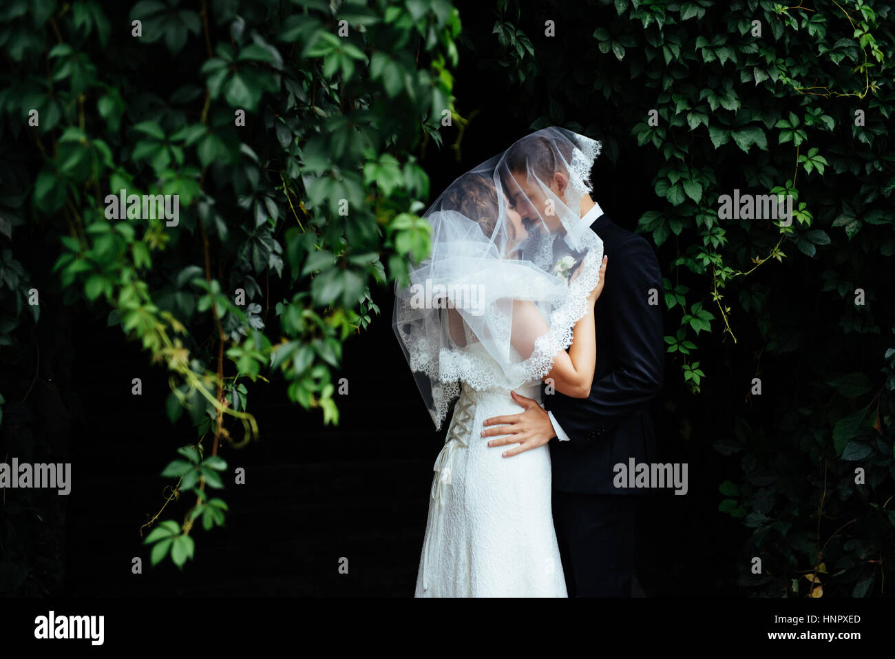 Young bride hugging her groom in beautiful park Stock Photo - Alamy