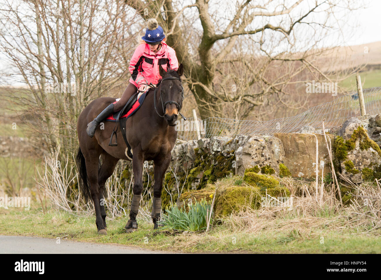 Rider mounting horse hi-res stock photography and images - Alamy