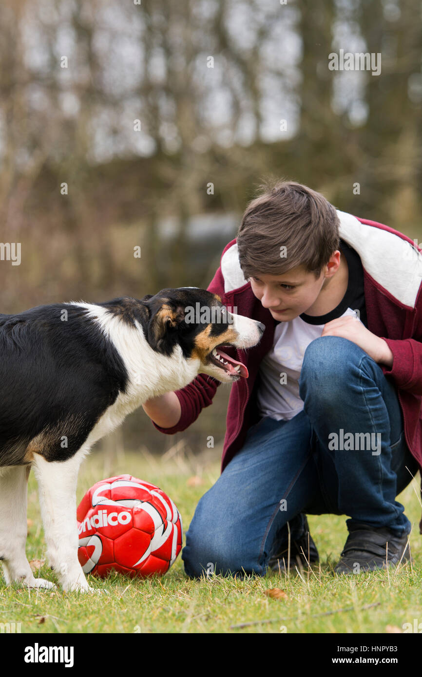 Teenage boy stroking a border collie sheepdog in field. North Yorkshire ...