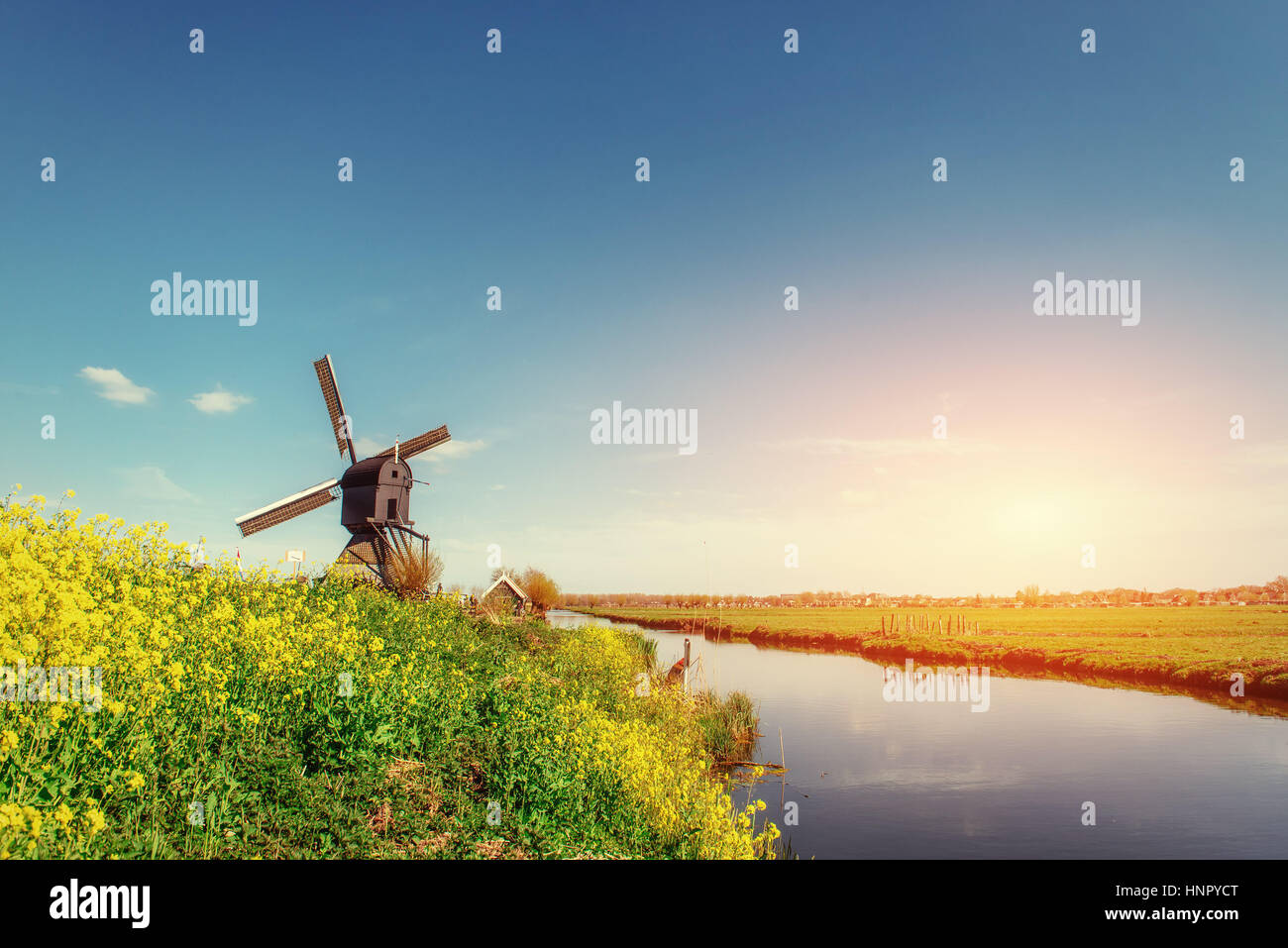 Old Dutch windmills spring from the canal in Rotterdam. Holland Stock ...