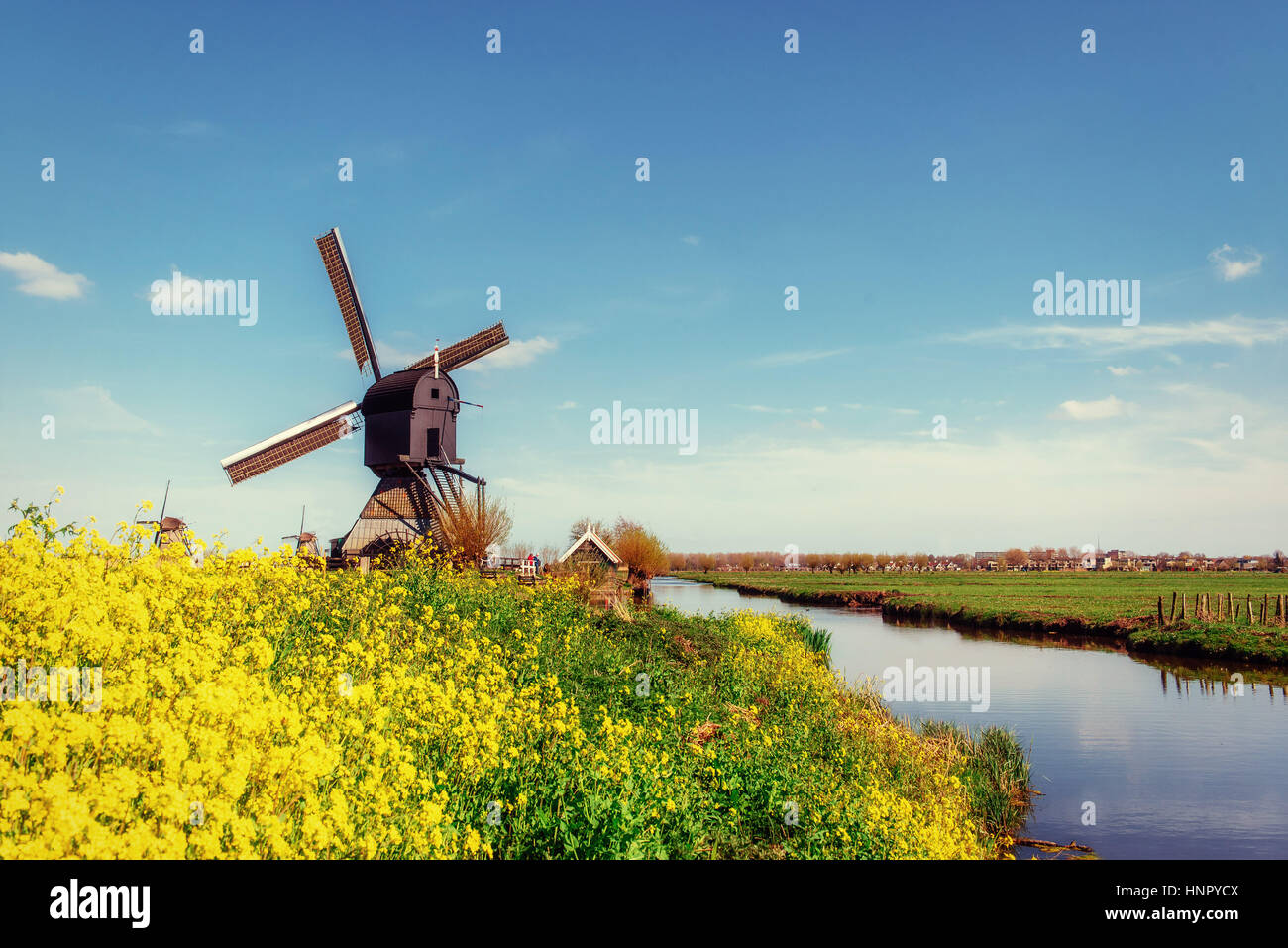 Old Dutch windmills spring from the canal in Rotterdam. Holland Stock ...