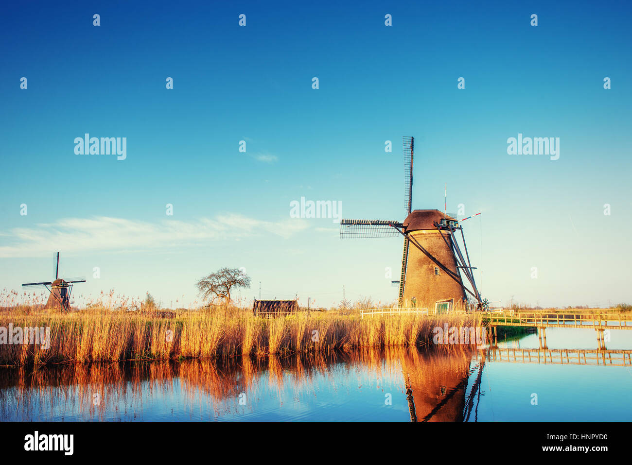 Traditional Dutch windmills from the channel Rotterdam. Holland Stock ...