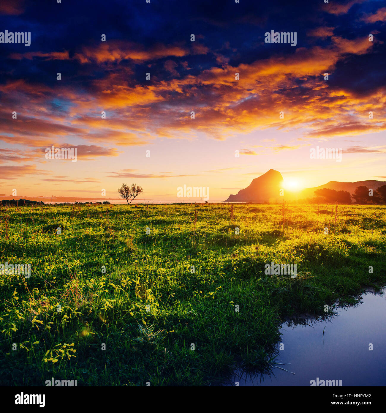 Beam backlit hi-res stock photography and images - Alamy