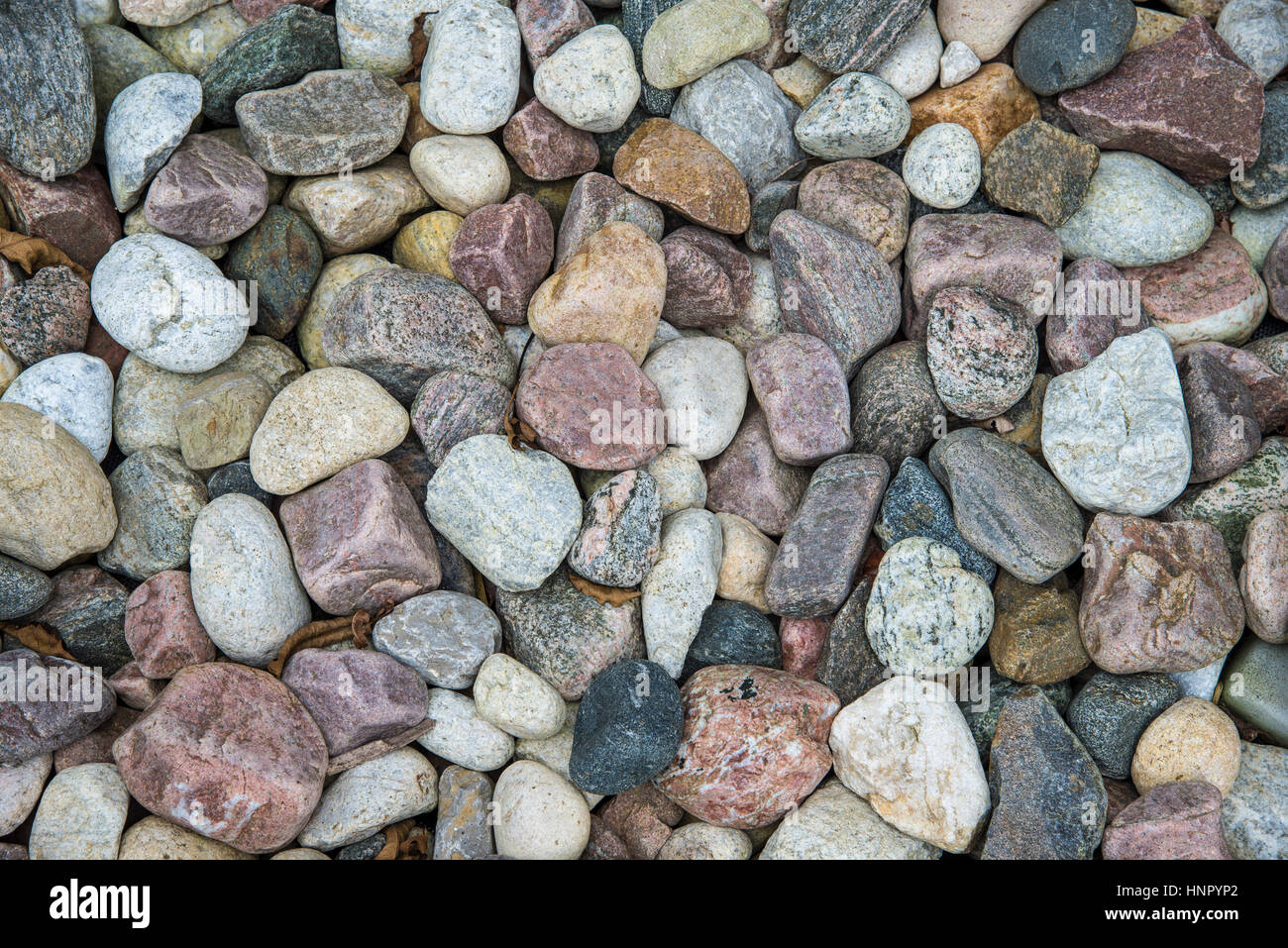 Round river rocks hi-res stock photography and images - Alamy
