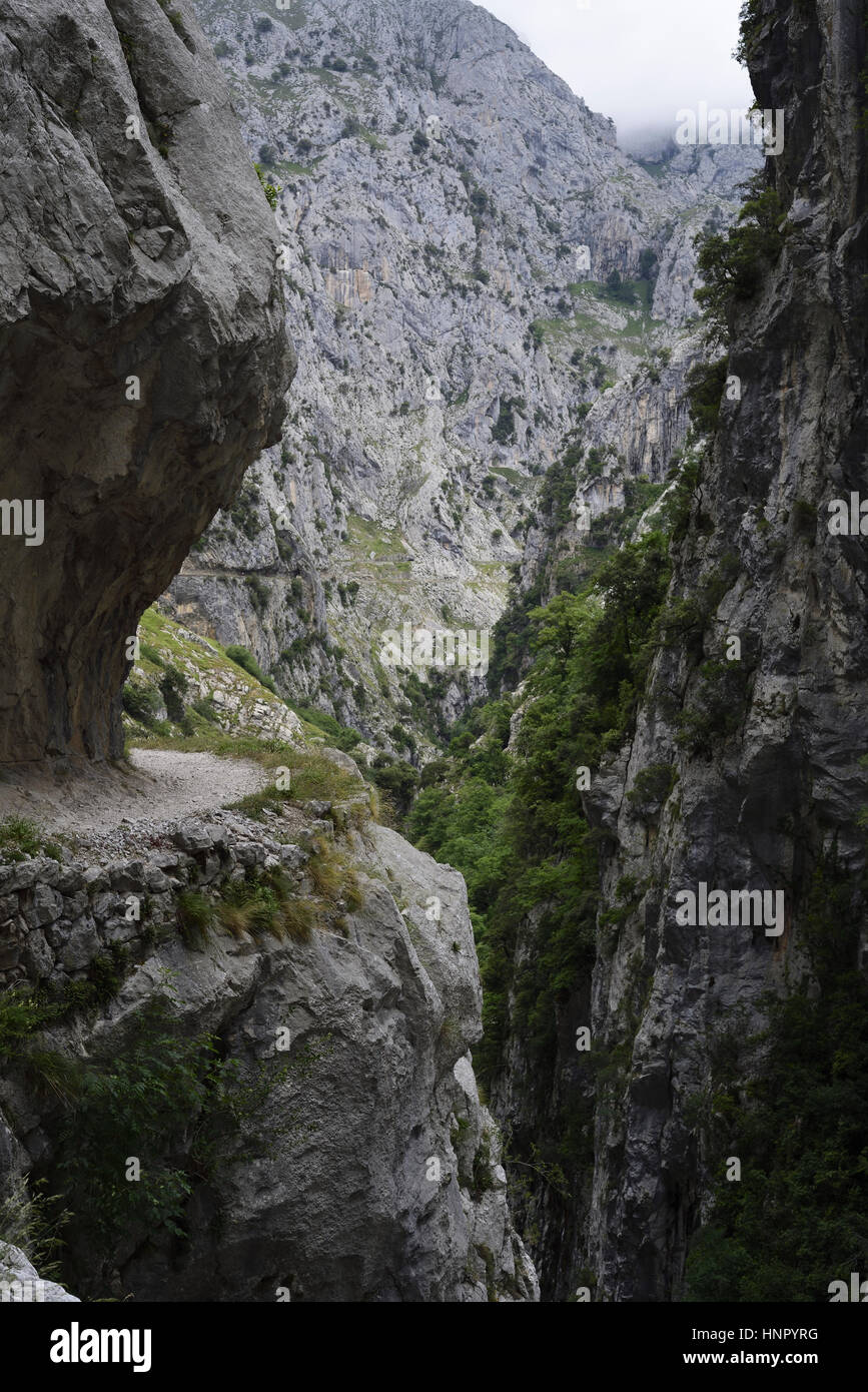 Cares Gorge (Garganta del Cares) between Poncebos and Cain, Picos de ...