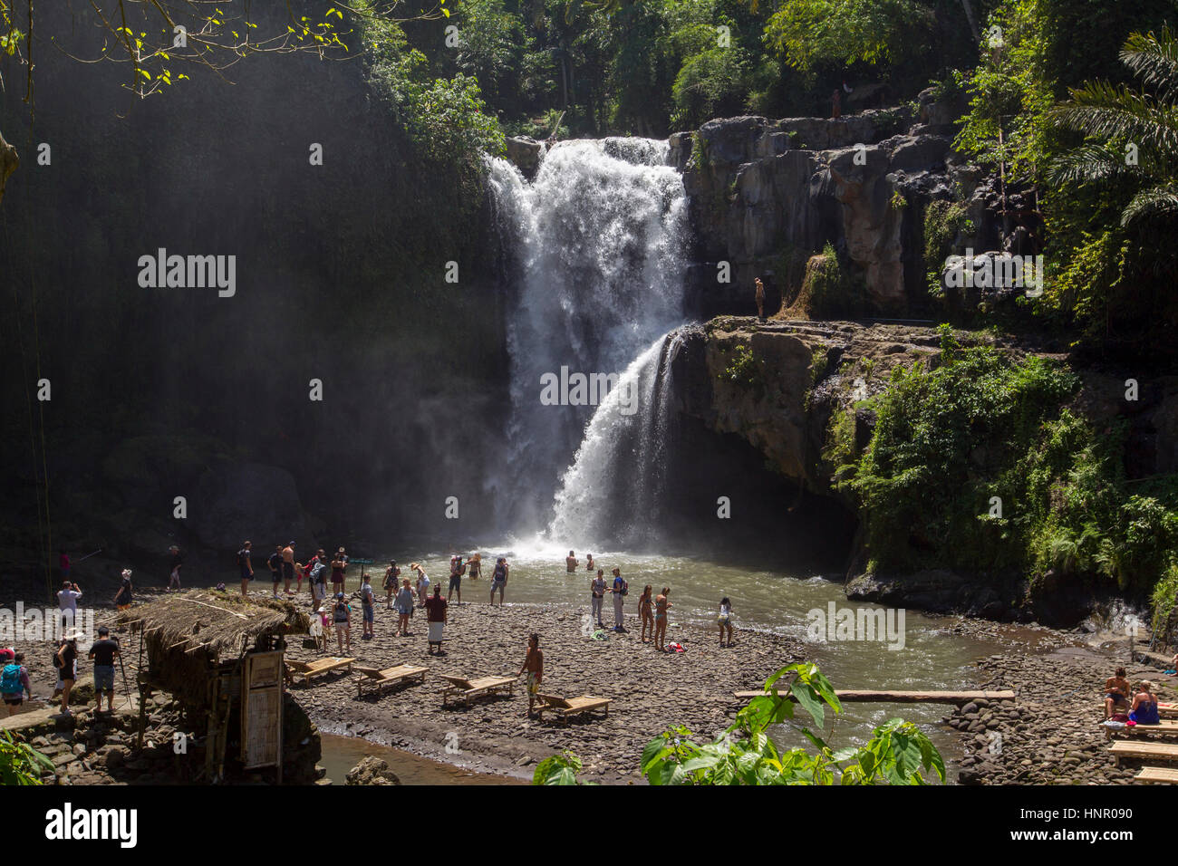 Scenic view of waterfall in a tropical rain forest, surrounded by ...