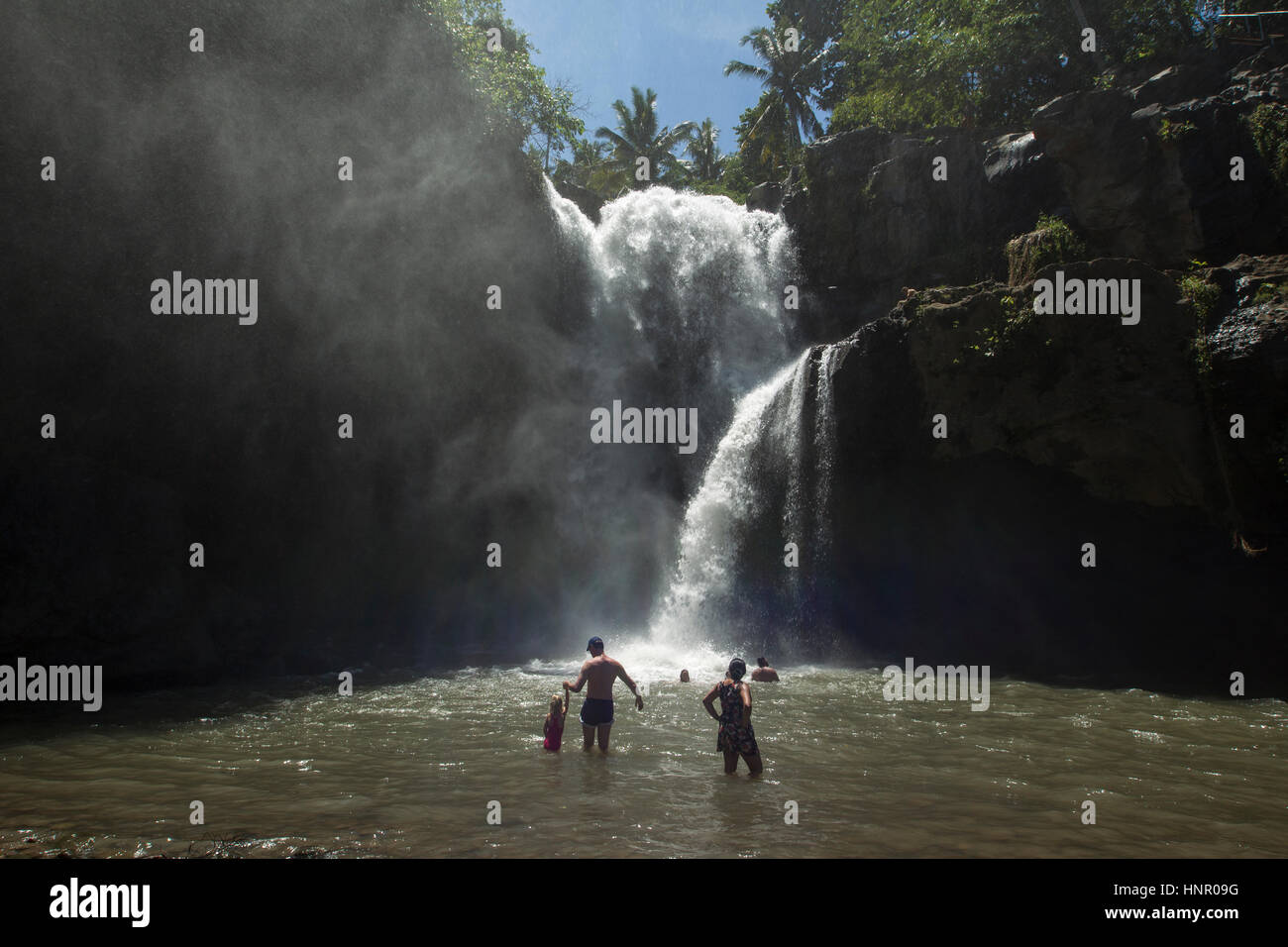 Scenic view of waterfall in a tropical rain forest, surrounded by ...