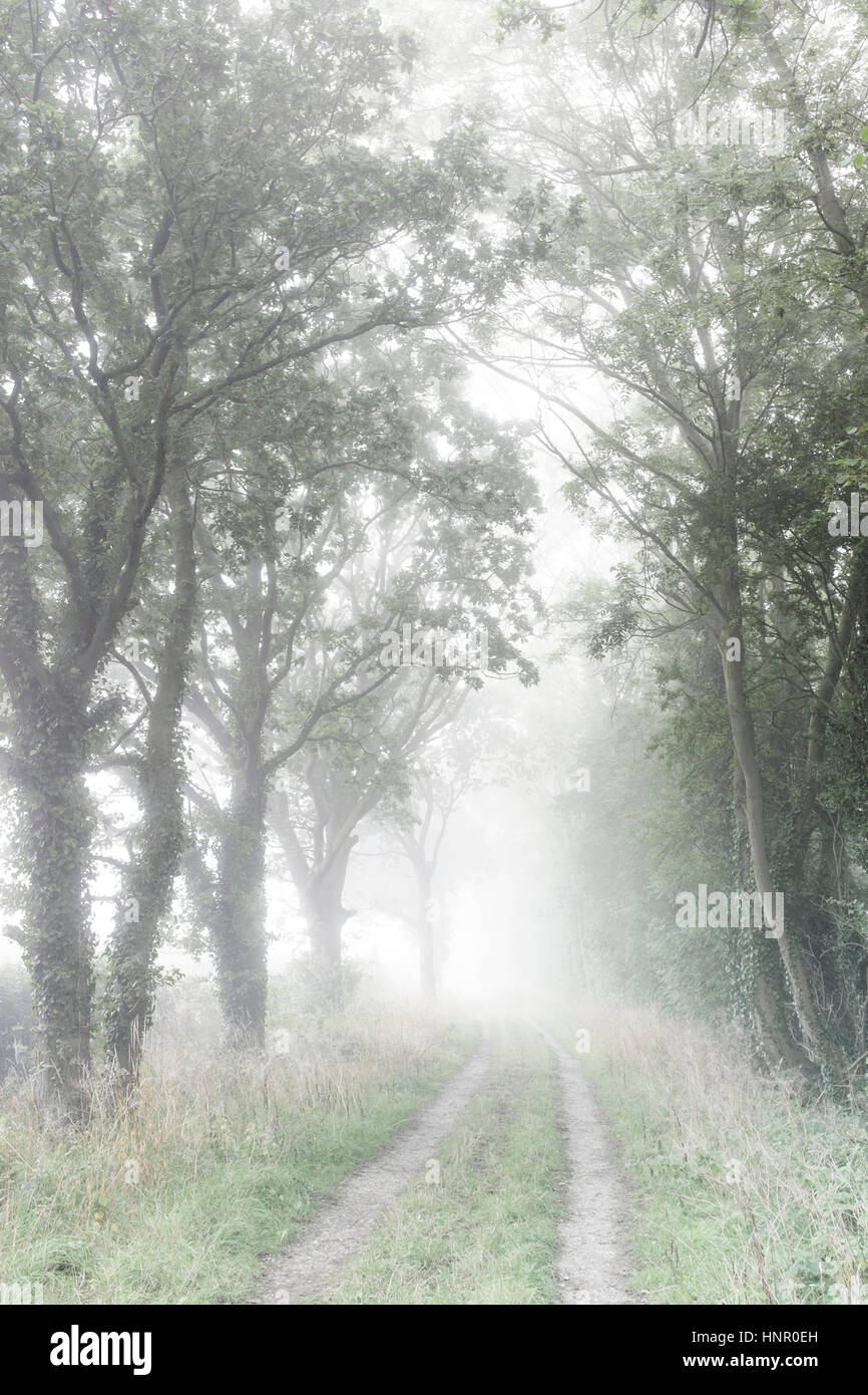 Countryside mist misty rural fog hi-res stock photography and images ...