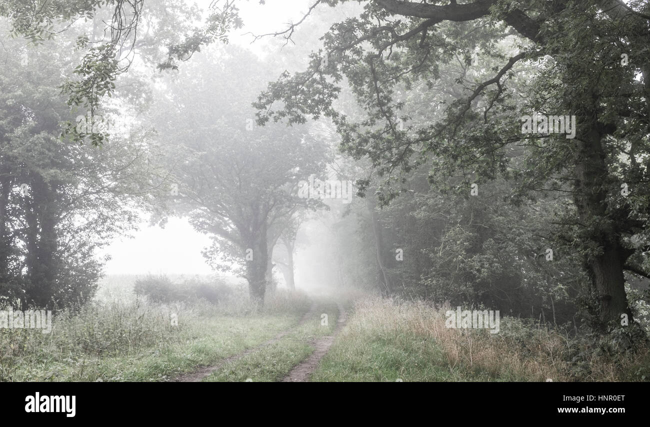 Fog in the English Countryside Stock Photo - Alamy