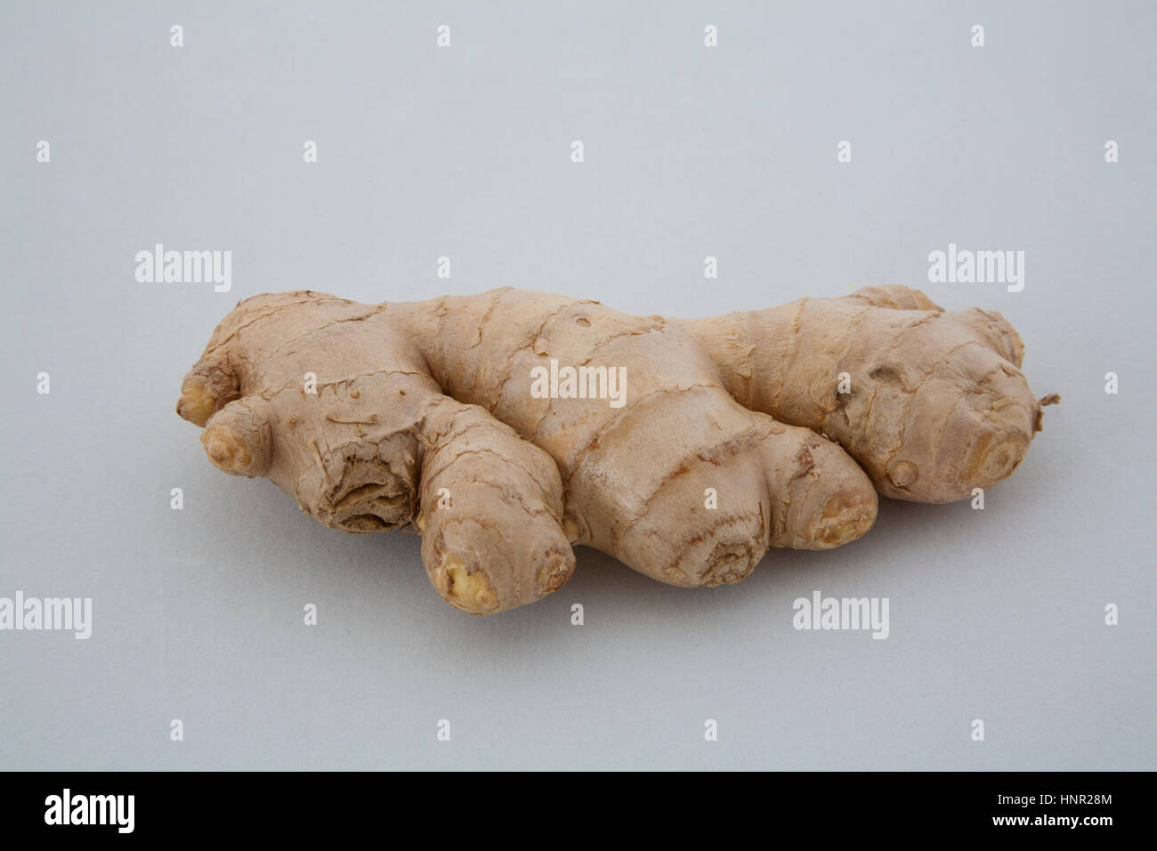 Root of fresh ginger on white background a rhizome of a herbaceous ...