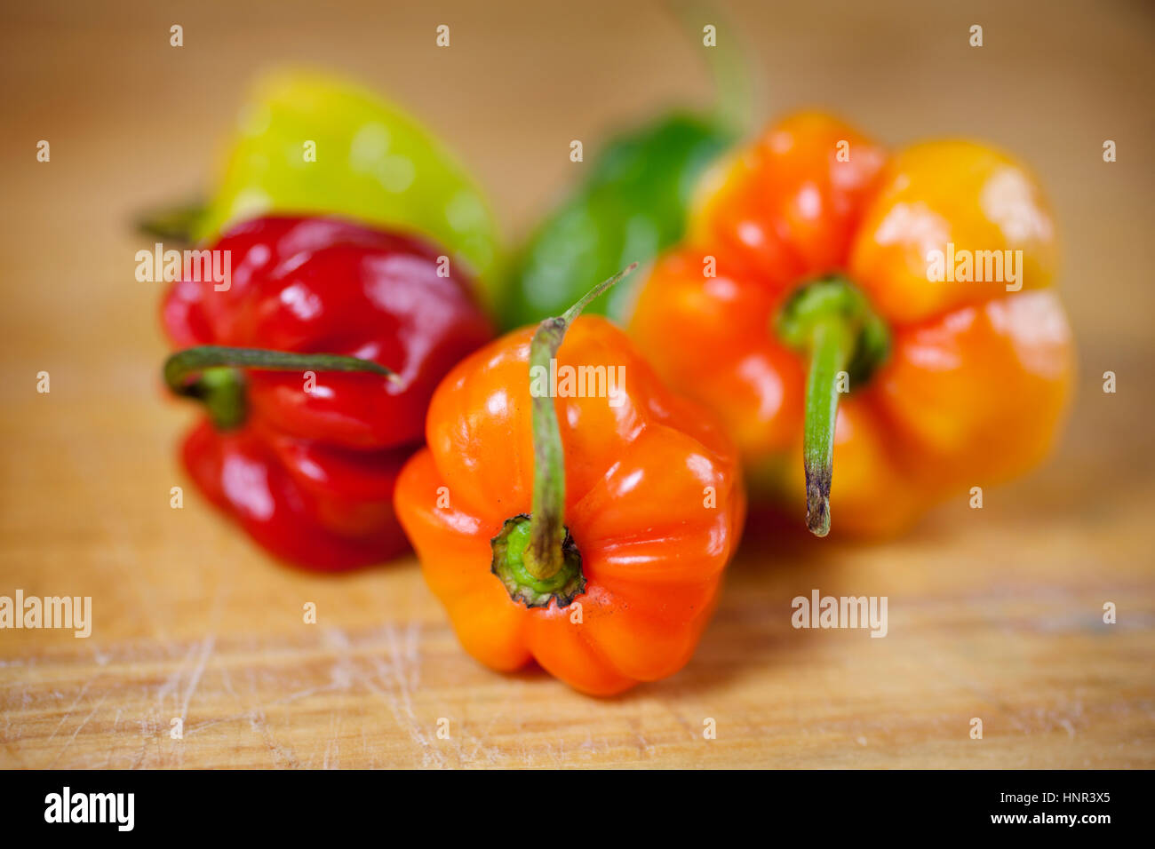 Colorful hot peppers Stock Photo - Alamy