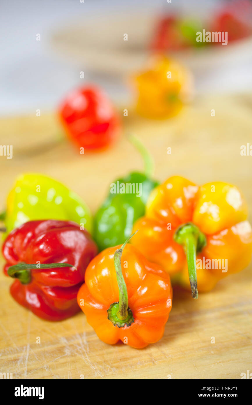 Colorful hot peppers Stock Photo - Alamy