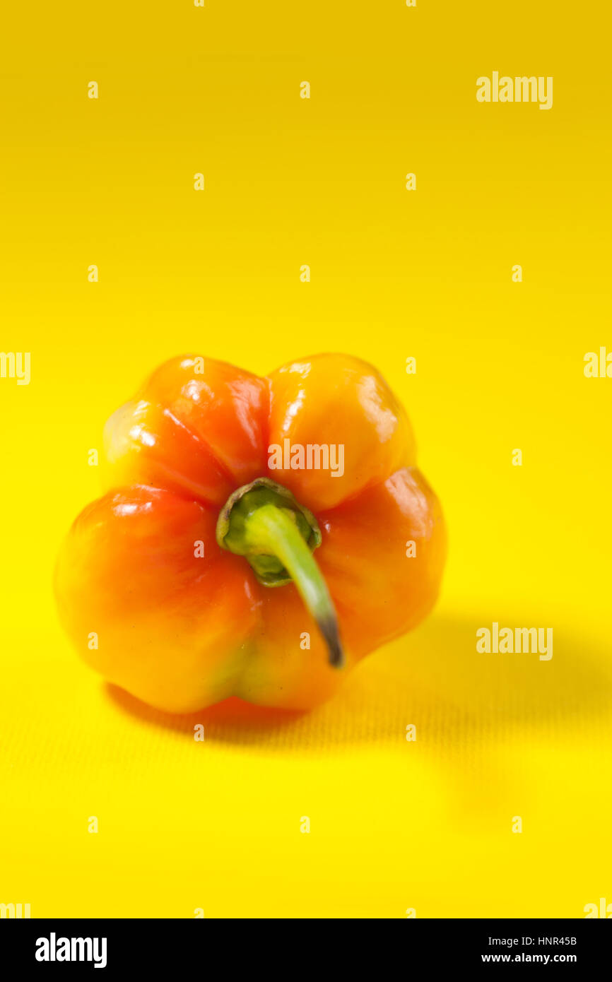 yellow mini hot pepper on yellow background Stock Photo - Alamy