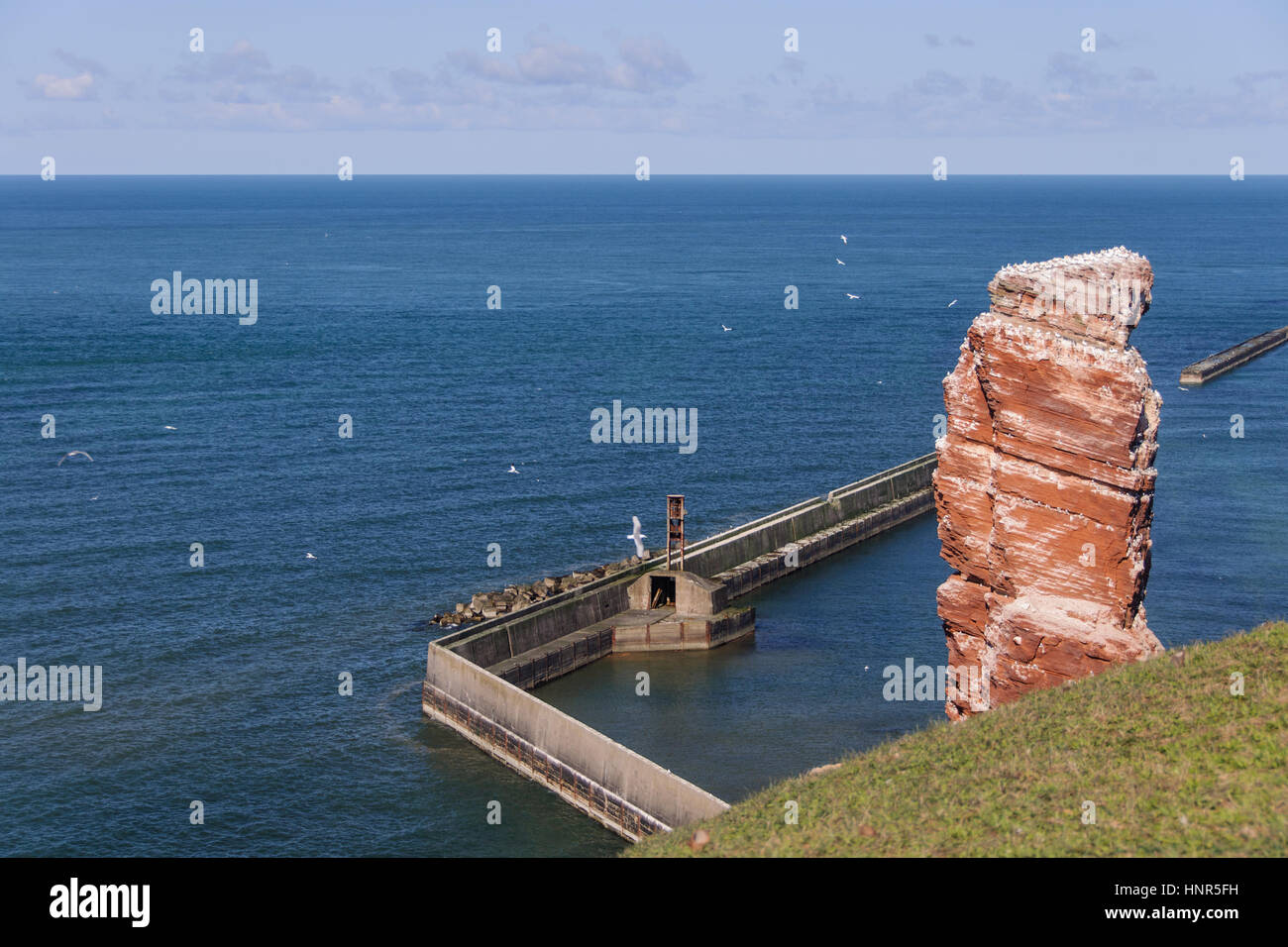 Cliff in the see with see and sky horizon and flying birds Stock Photo ...