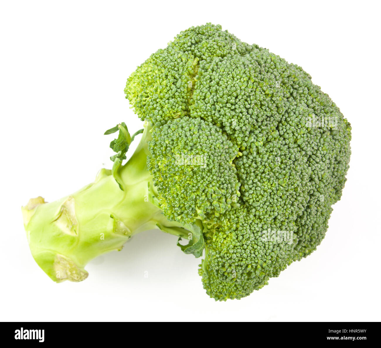 top view broccoli isolated on white background Stock Photo - Alamy