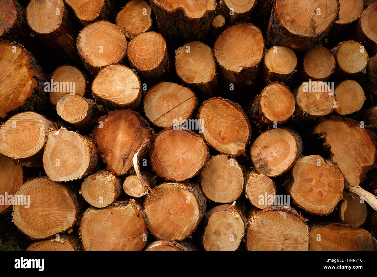 Forestry commission planting hi-res stock photography and images - Alamy