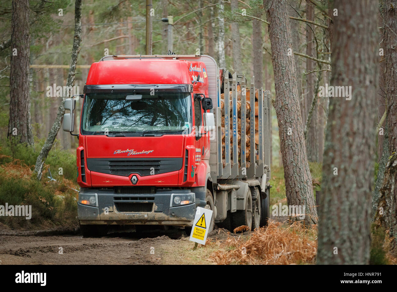 Selective logging hi-res stock photography and images - Alamy