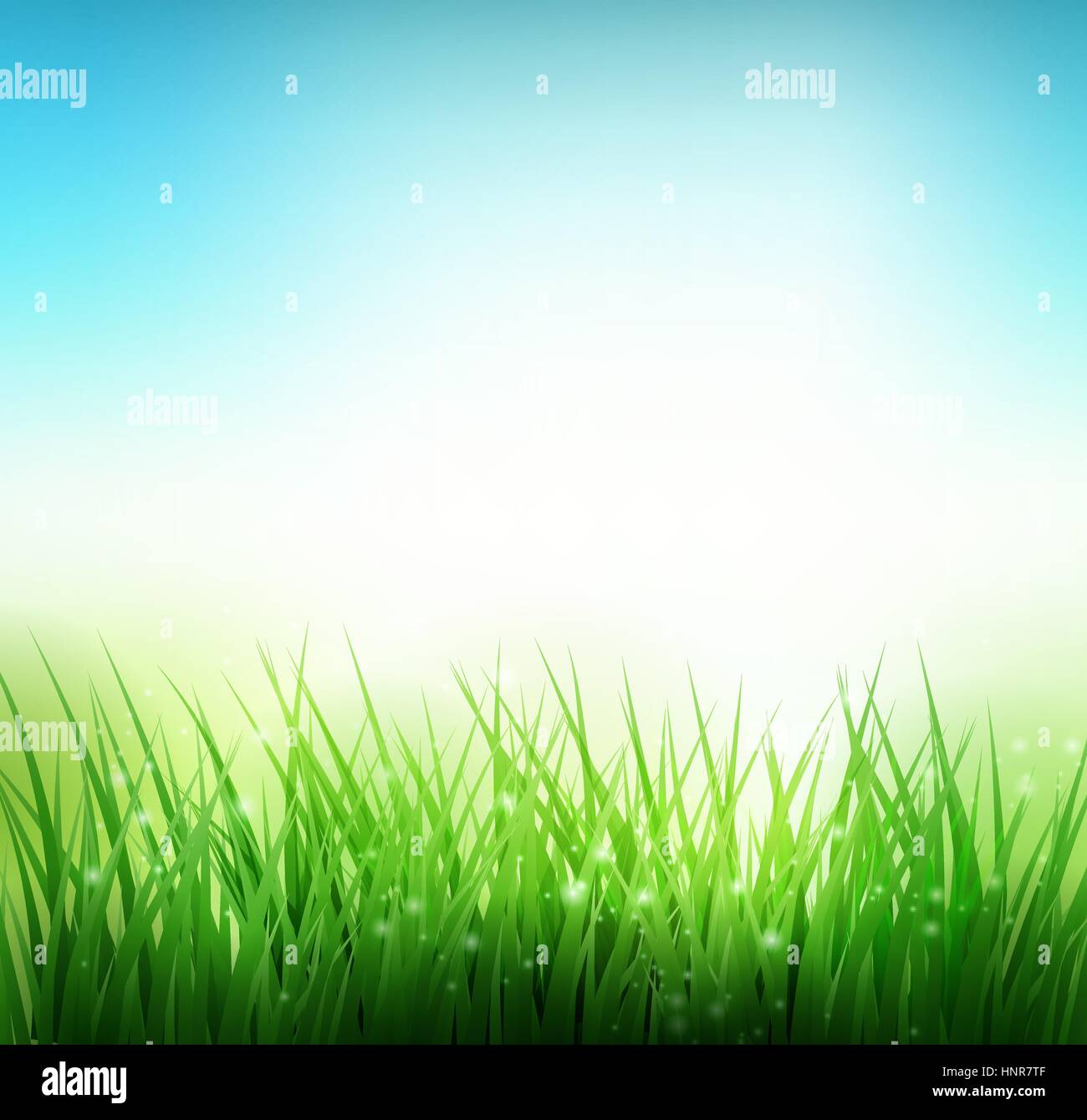 Natural green grass background. Vector illustration. EPS 10 Stock ...