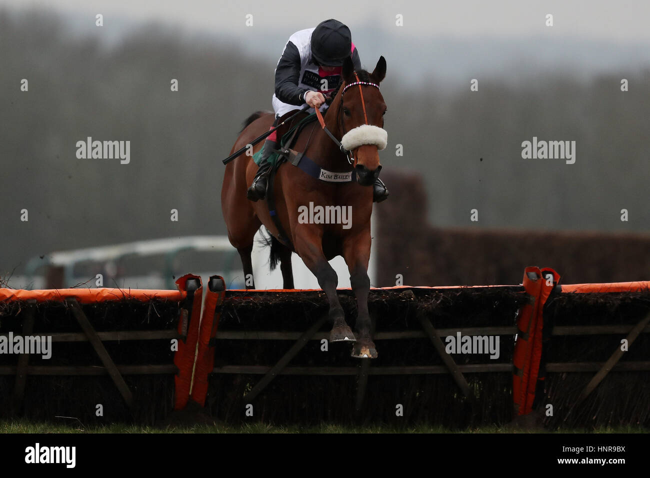 Bandon Roc ridden by Harry Morshead on their way to victory in the ...