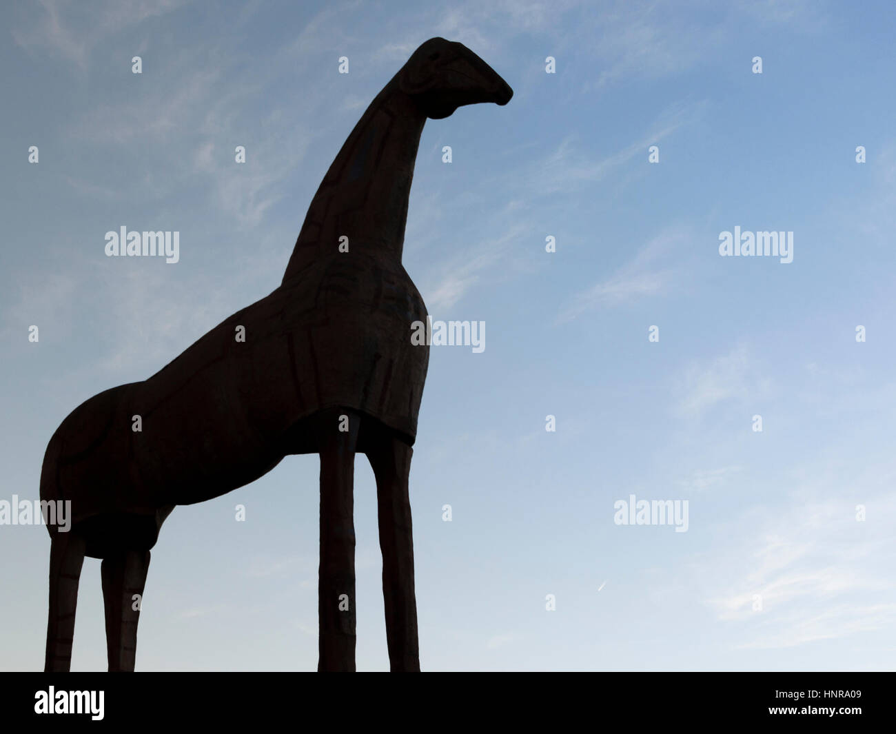 Horse shadow hi-res stock photography and images - Alamy