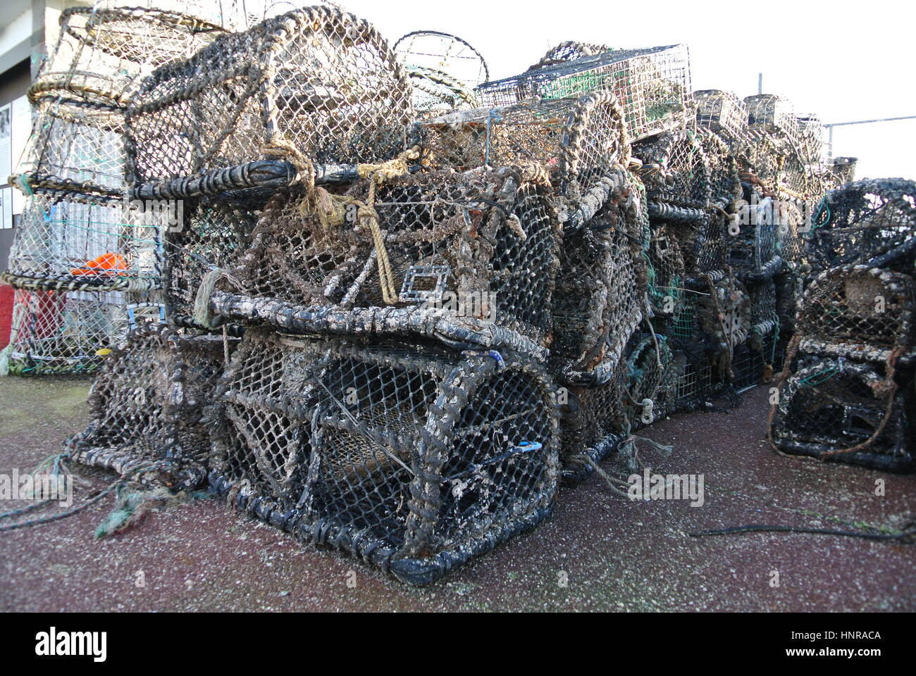 Stack of Lobster Pots with some Cuttlefish Traps behind Stock Photo - Alamy