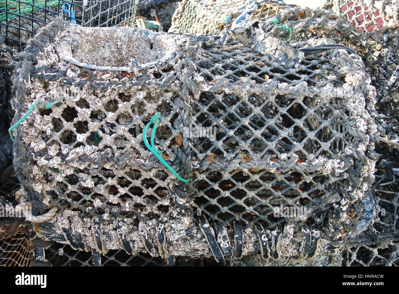 single Lobster Pot trap Stock Photo - Alamy
