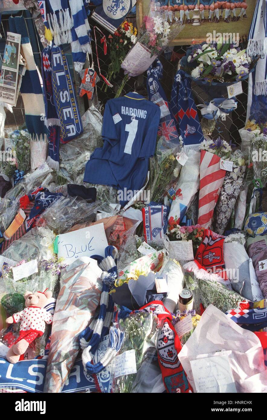 MATTHEW HARDING MEMORIAL. STAMFORD BRIDGE. 27 November 1996 Stock Photo ...