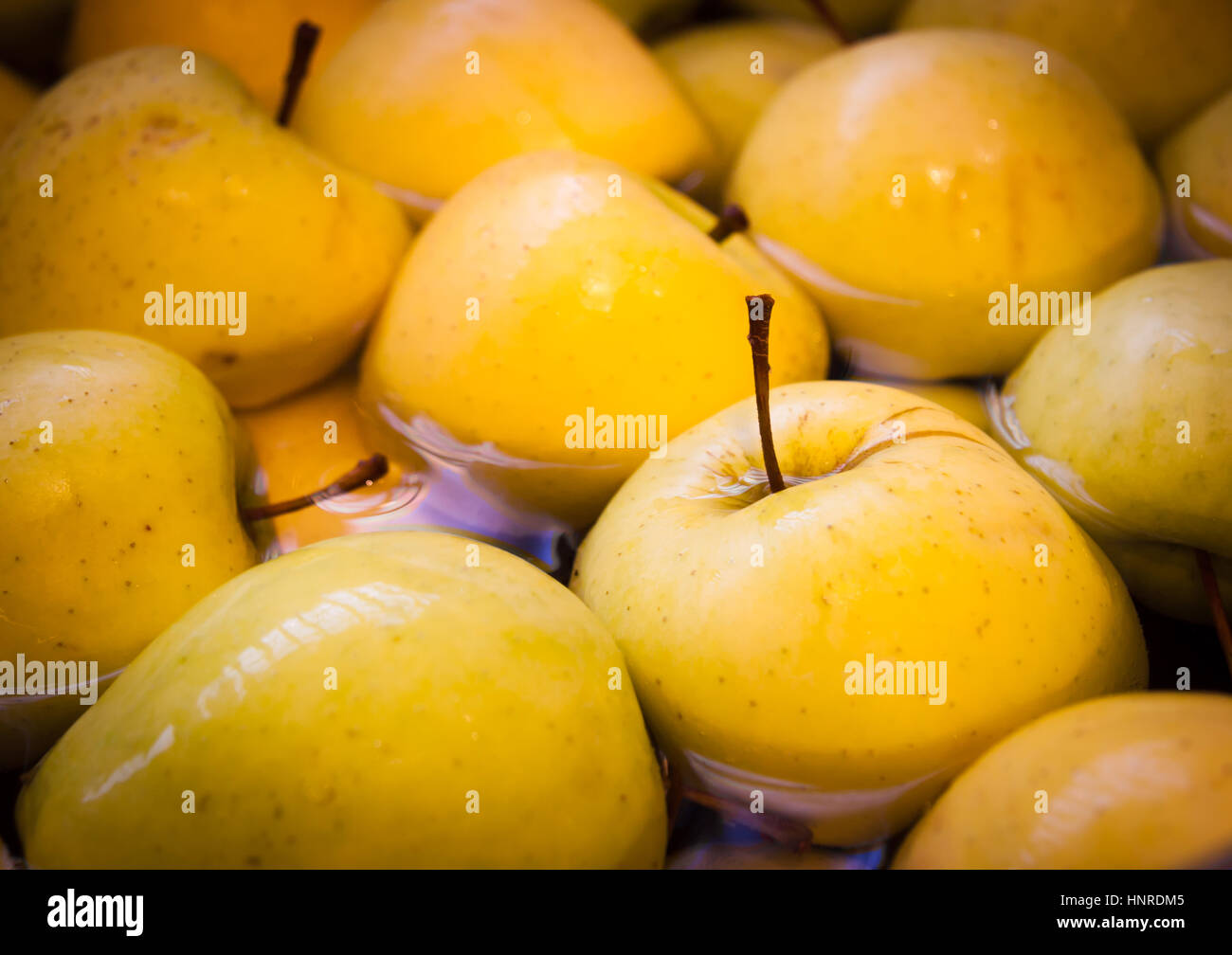 Floating Apples #2 - Apples floating in a tank having been washed ready ...