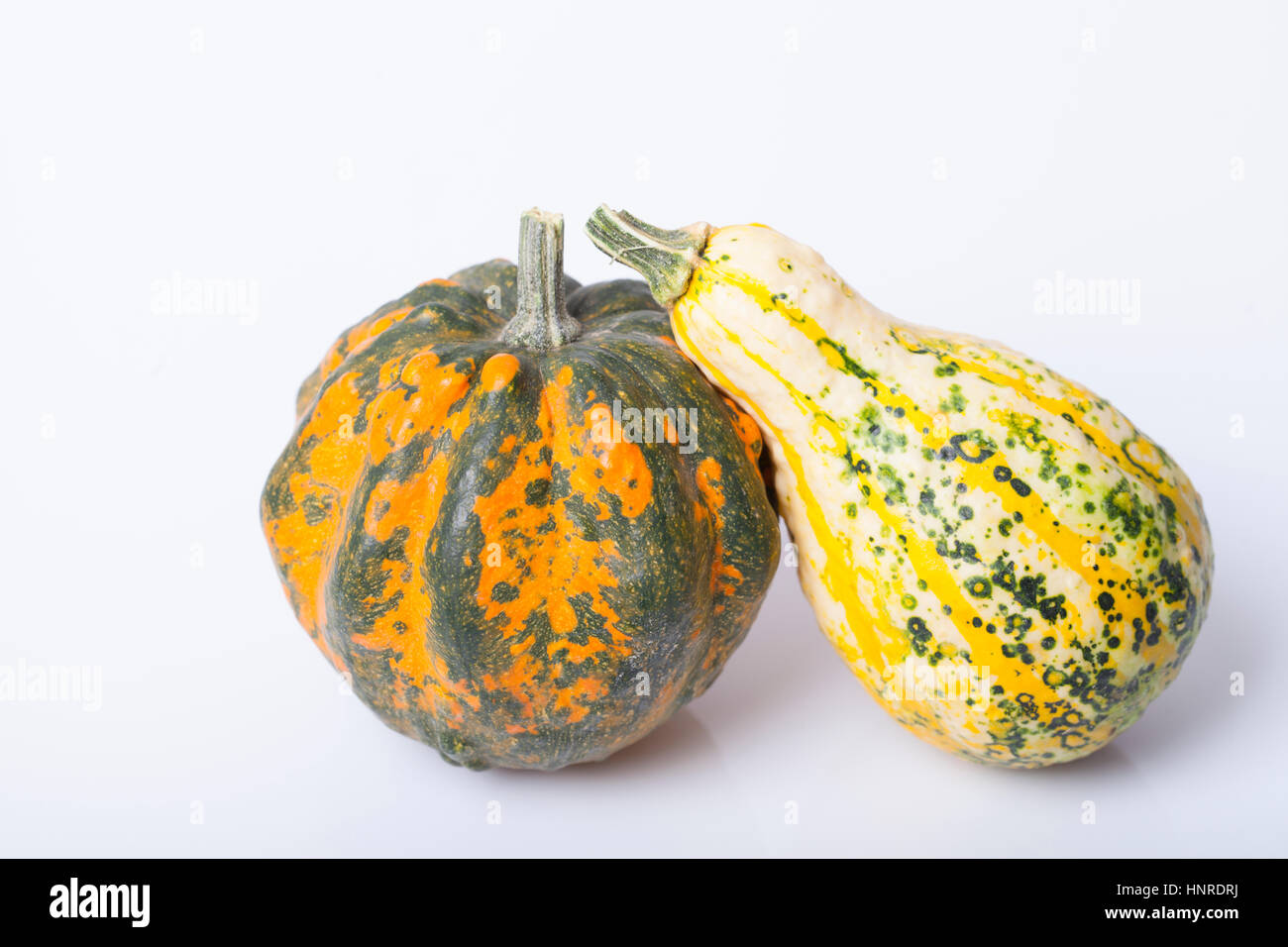Pumpkin and squash autumn backgrounds on the table Stock Photo - Alamy