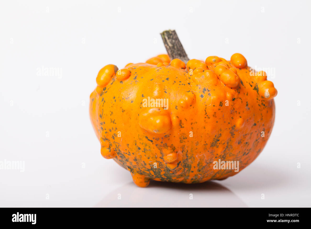 Pumpkin and squash autumn backgrounds on the table Stock Photo - Alamy