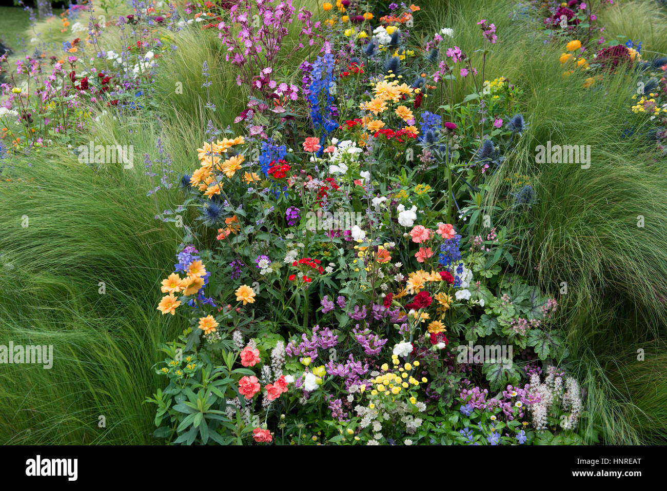 Colourful garden border hi-res stock photography and images - Alamy