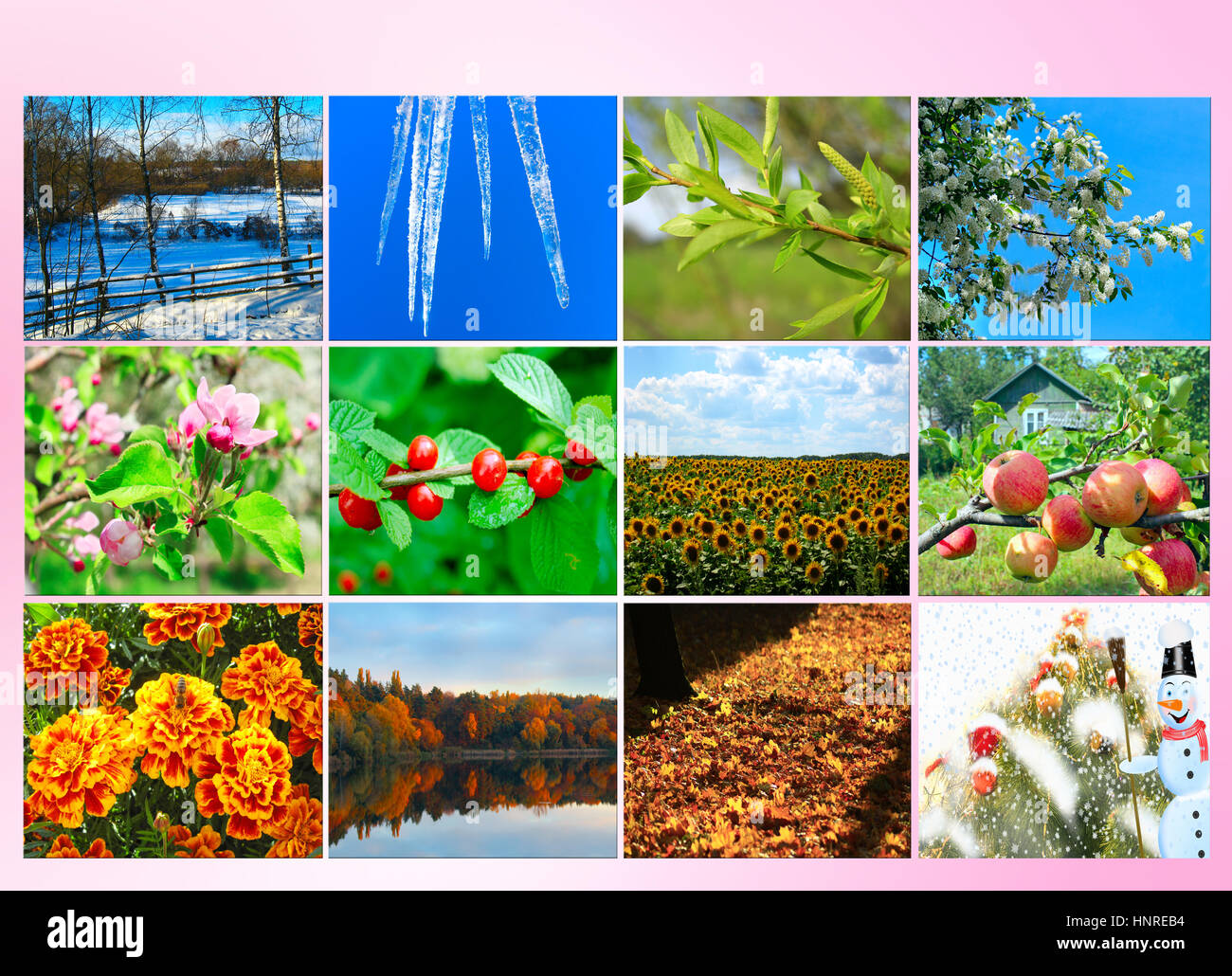 blank with different twelve colored images of nature for calendar Stock ...