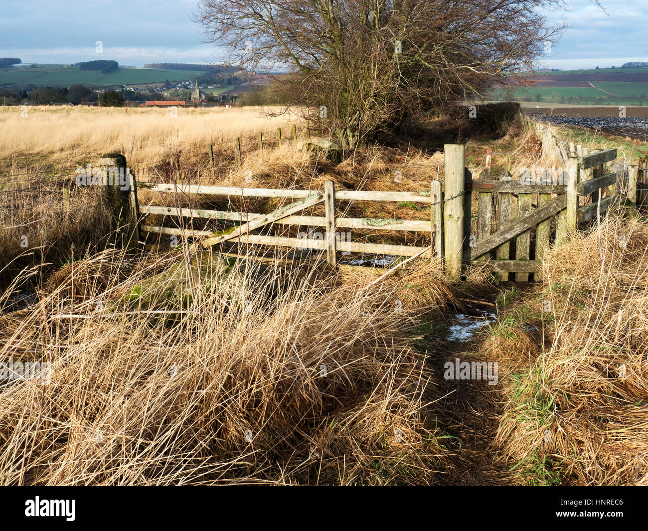 Footpath across Fields near Ceres Fife Scotland Stock Photo - Alamy