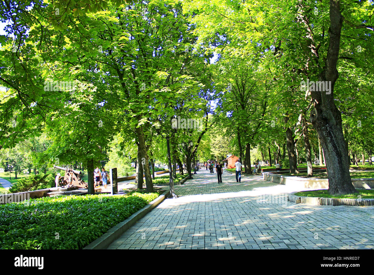 beautiful park with nice promenade path and high green trees and bushes ...