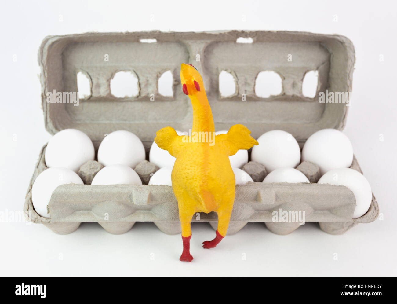 Rubber chicken hi-res stock photography and images - Alamy