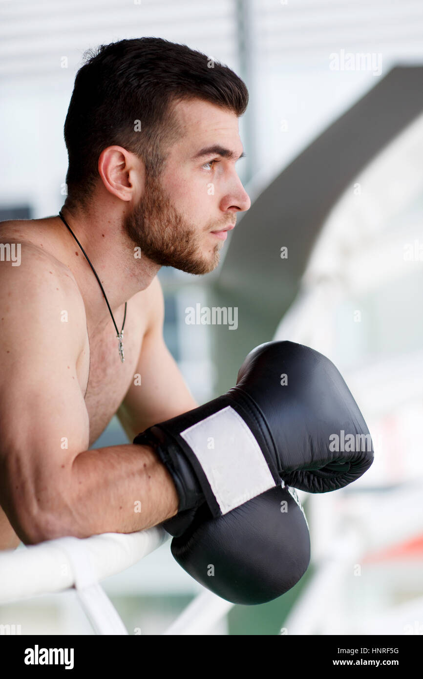 Portrait of athlete in sports gloves in ring Stock Photo - Alamy