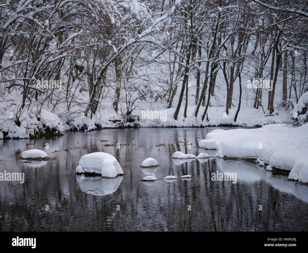 Trees covered with snow reflecting on the surface of the river Stock ...