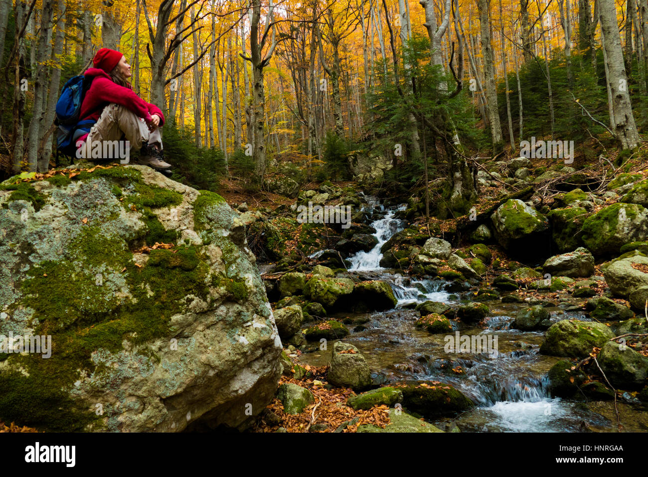 Young woman hiker resting on a big rock in the forest by a stream ...
