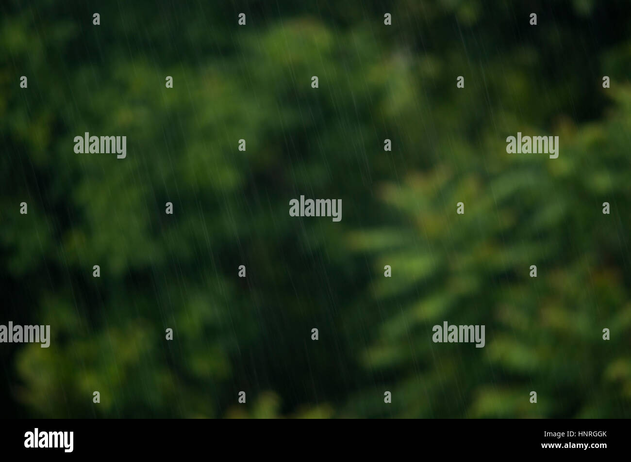 Raindrops falling leaving long straight lines against a defocused ...