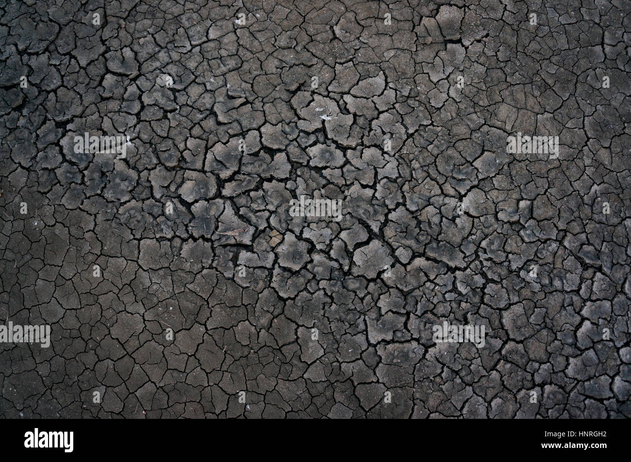 Connections of cracks hi-res stock photography and images - Alamy