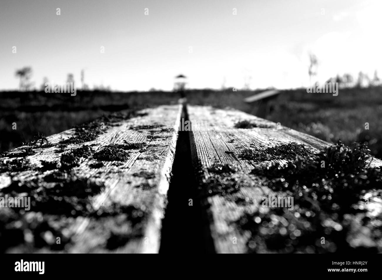 Artwork path pathway Black and White Stock Photos & Images - Alamy